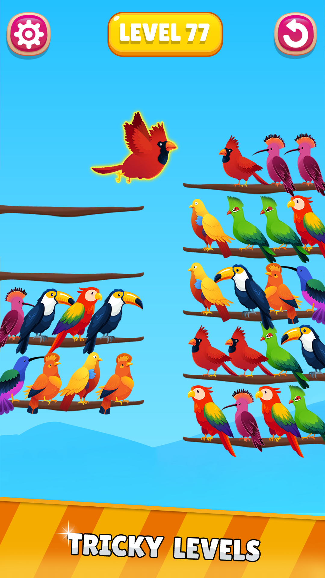 Bird Sort - Color Puzzle Source Code - SellAnyCode