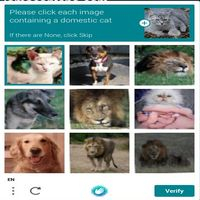 Image Classifier And OCR Recognition Server Source Code - SellAnyCode